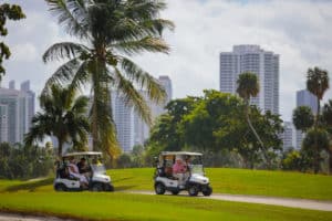Why Does My Golf Cart Run Faster in Reverse Than Forward, and How to ...